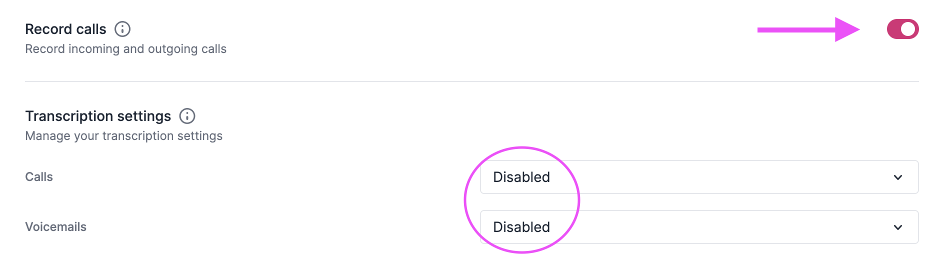 AI Transcription & Summarize – Bonzo